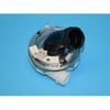 HEATER AND O-RING FOR CIRC.PUMP DW Gorenje 589909 - Heizelement